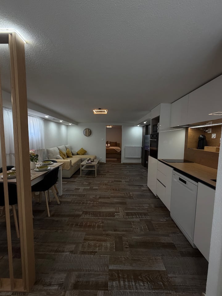 Votre Logement Sur Les 3 Frontières ! - Huningue