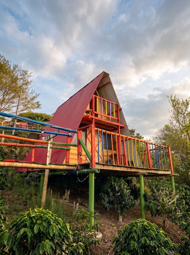 Cabaña Pasion De La Montaña - Finca La María - La Plata