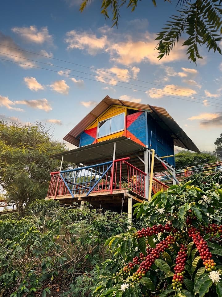Cabaña Mirador Entre Cafetales - Finca La María - La Plata