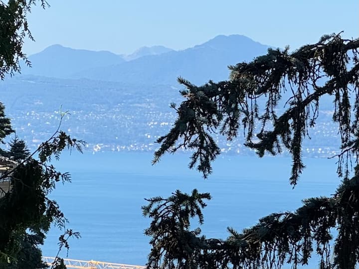 Appart 3.5 Avec Vue Sur Le Lac Léman - Lausanne