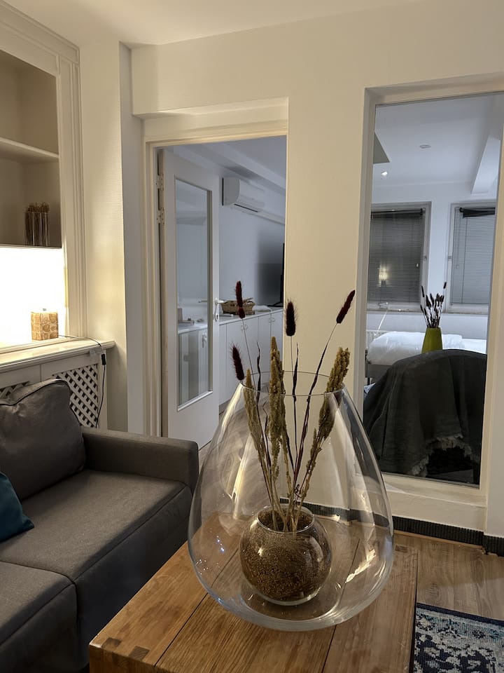 Suite Sur La Plus Prestigieuse Avenue De Bruxelles -