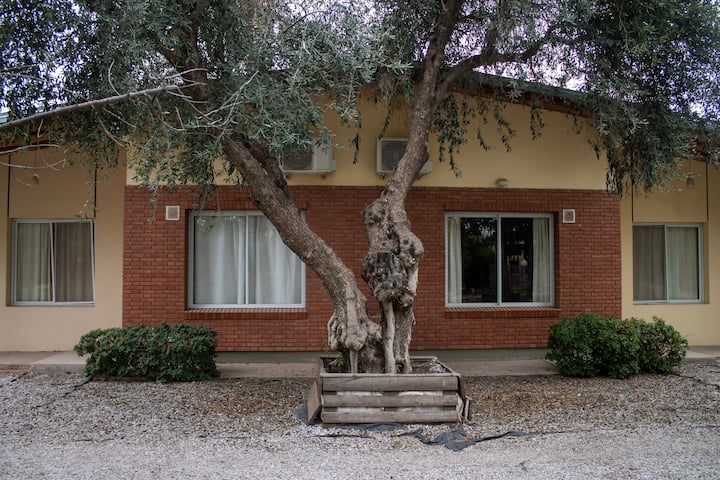 Pinar Del Sur: Cabañas Entre Pinos Y Naturaleza. - San Rafael, Argentina
