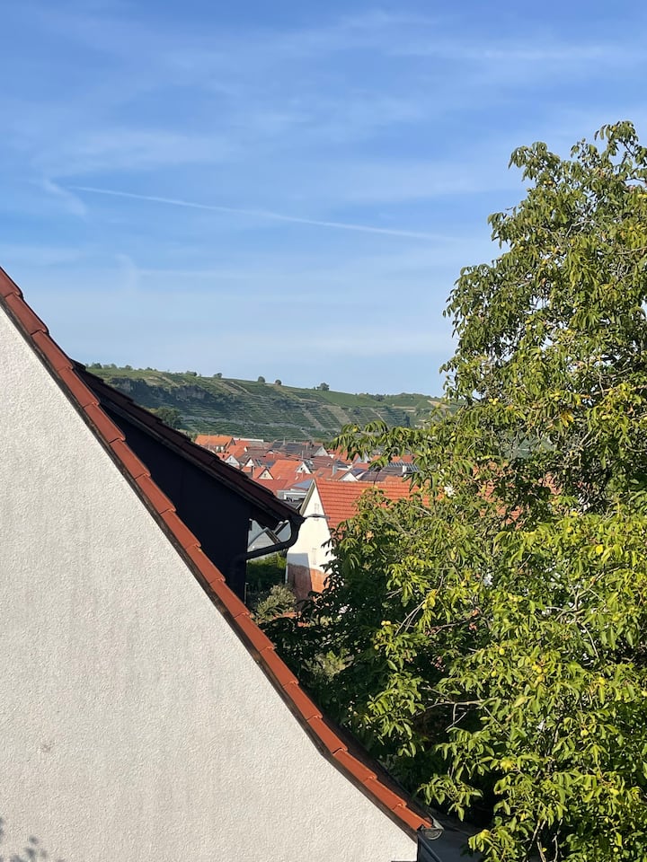 Ferienwohnung Direkt Am Ortsrand - Besigheim