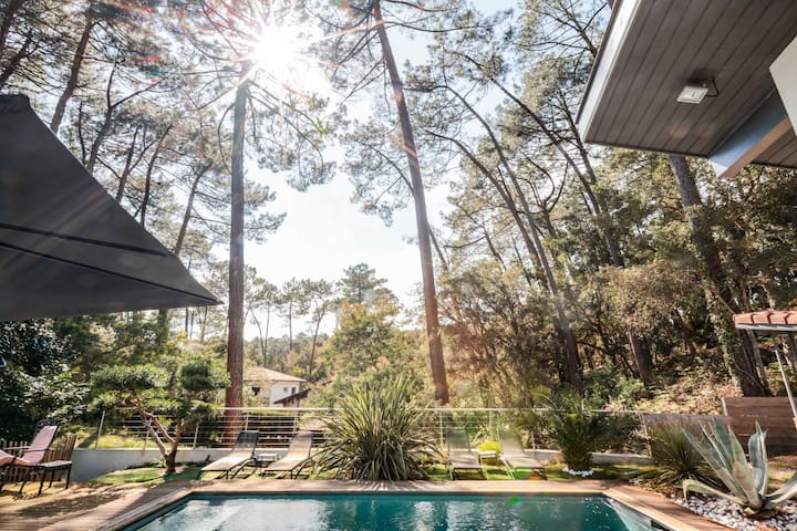 Maison Canopée Avec Piscine Seignosse - 9 Pers - Soorts-Hossegor