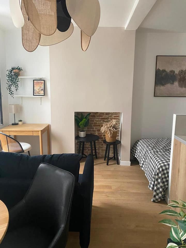 Latelier Viadieu, Votre Cocon Toulousain - Toulouse