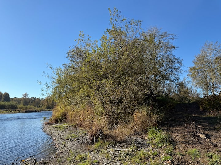 Fisherman/hunter's Retreat On 88 Riverfront Acres - Aberdeen, WA