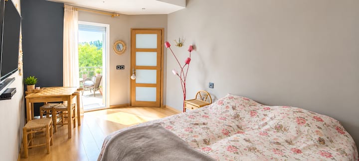 Chambre Avec Solarium Et Piscine - Lescar