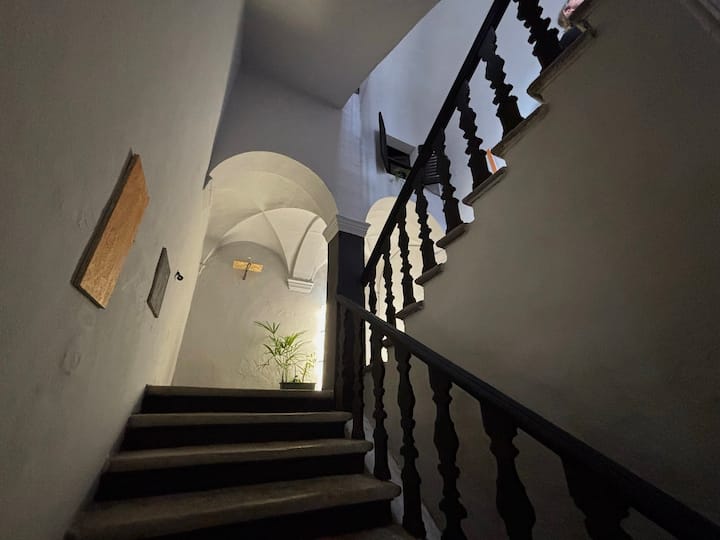 Loft 444 | Pietra & Storia Nel Centro Di Faenza - Faenza