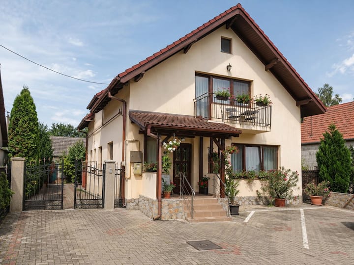 Imex Guesthouse - Transilvania