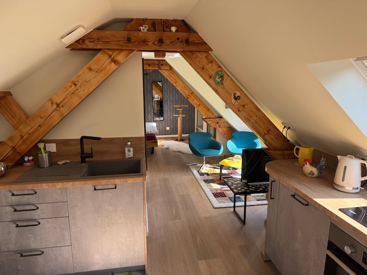 Appartement Mansardé
" Le Coq Hardi" - Kintzheim
