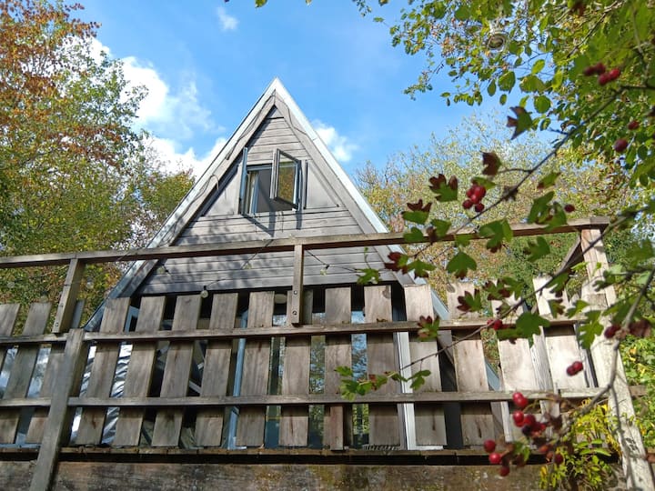 Idyllische Boshut In De Ardennen - Durbuy