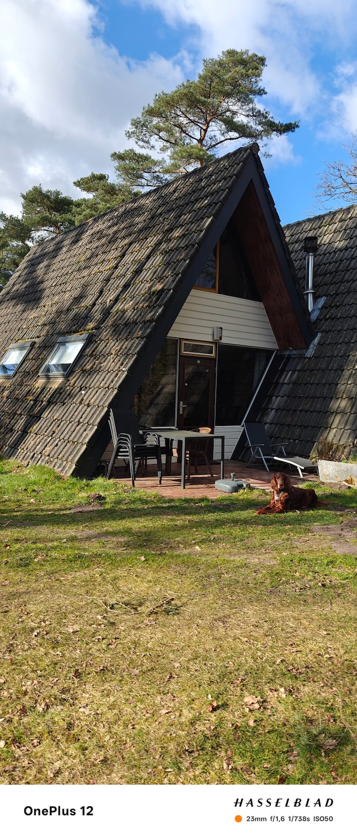 Bungalow 86 Muskuskruid - Weert