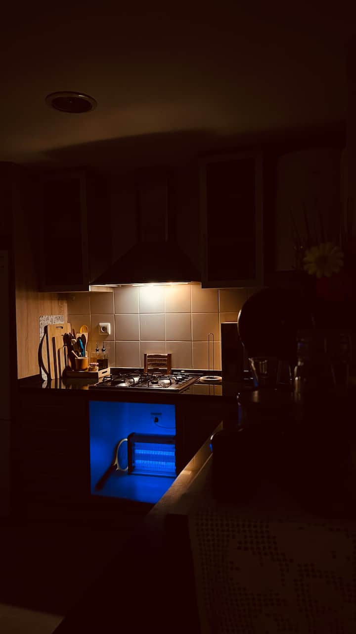Casa Charmosa No Coração Da Golegã - Entroncamento