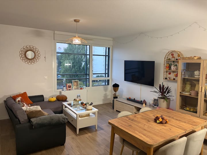 Adorable Appartement En Plein Centre-ville - Mérignac