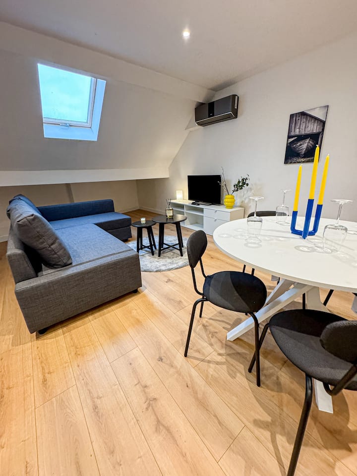 Well-located 1br + Lr Apt | 15-min Walk To Rabot - Oost-Vlaanderen