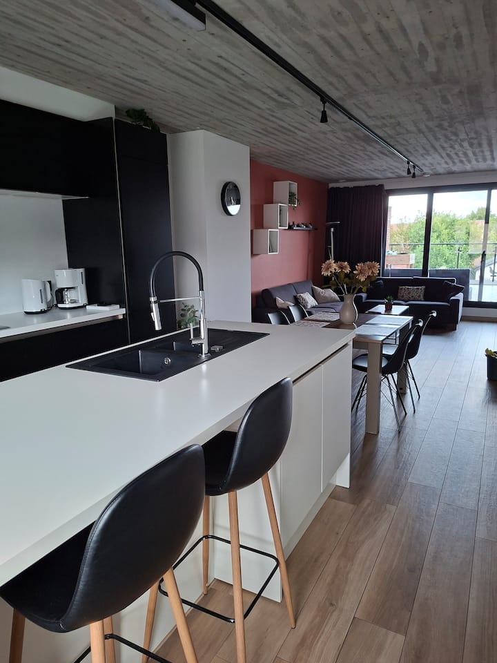 Duplex Appartement Vlak Bij Waaslandhaven. - Antwerp, Belgium