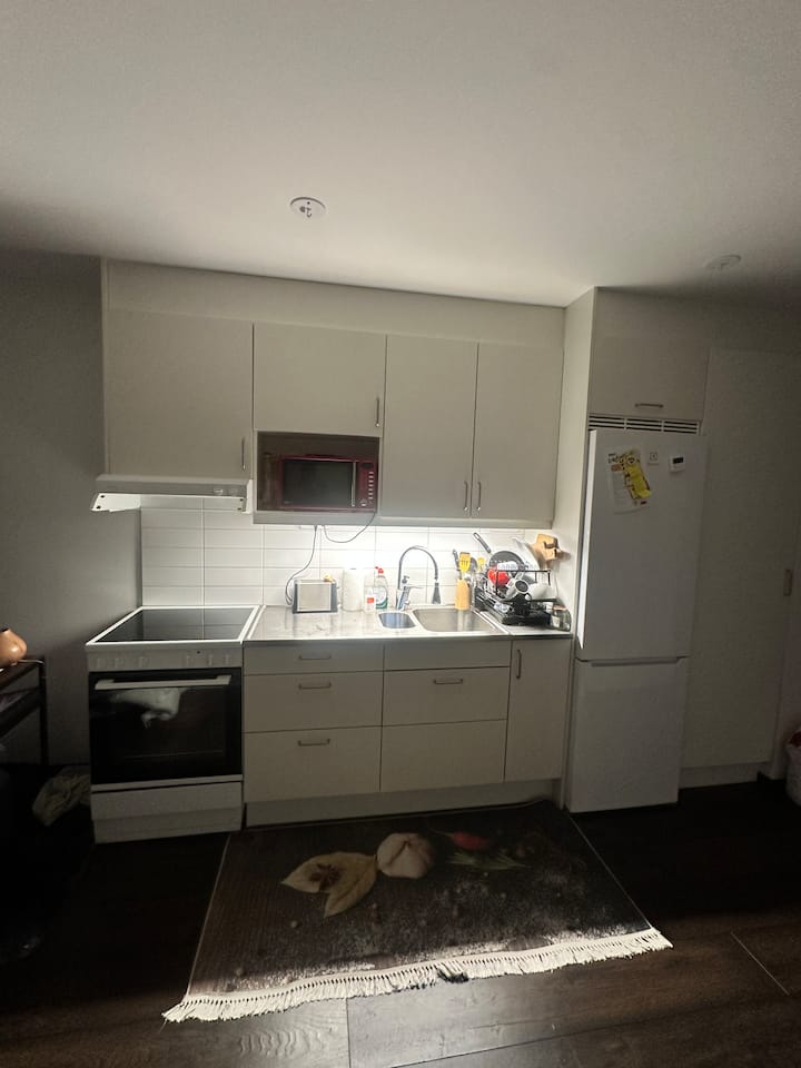 Modern, Peaceful Apartment Near Parks And Shopping - Malmö