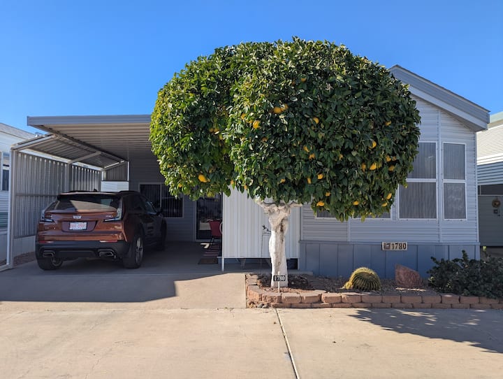 Home Away From Home - Mesa, AZ