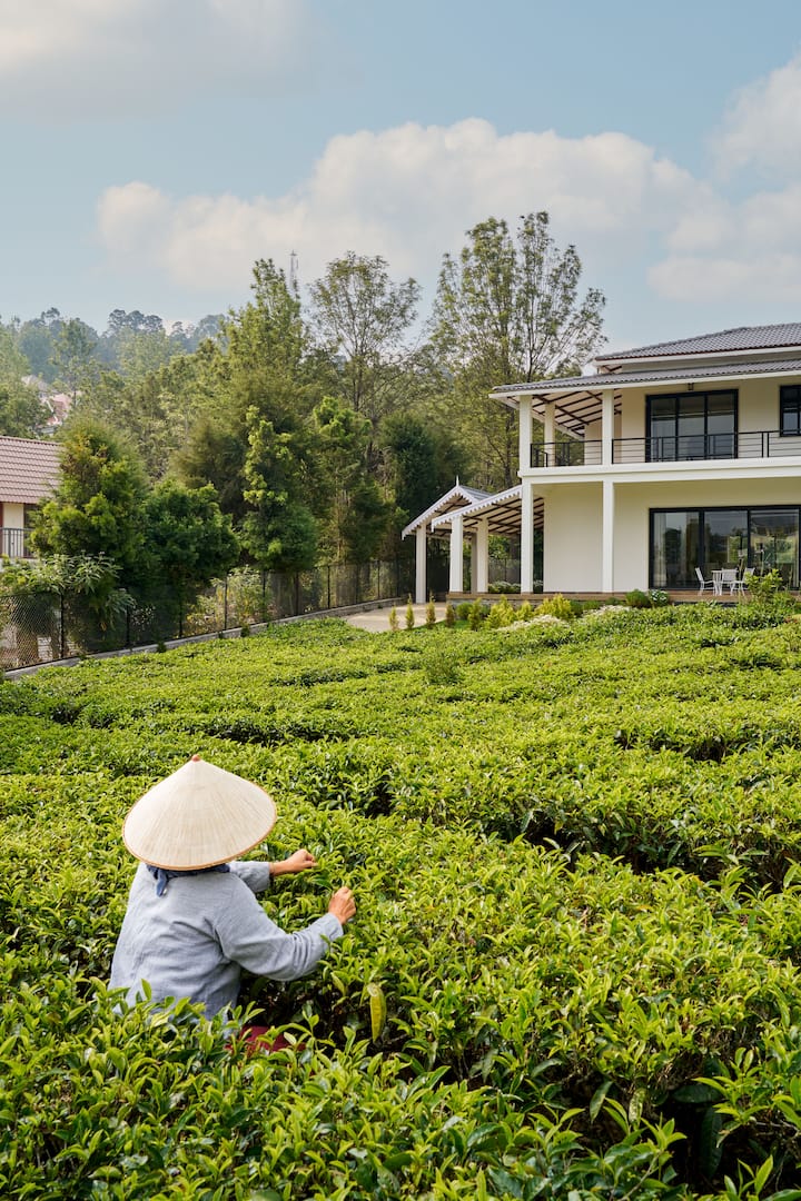 Hushstay X Windermere Bungalow - Coonoor
