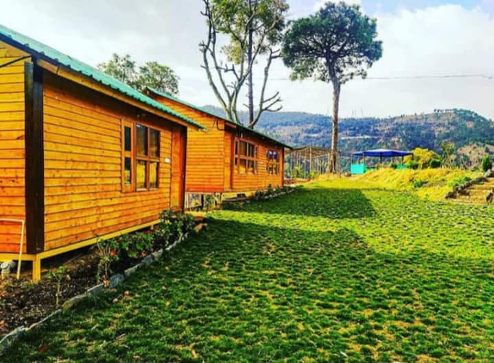 Tree House Cottages Situated On Hilltop Of Chail - Chail
