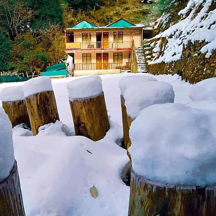 Snow Drop Home Shimla - Shimla