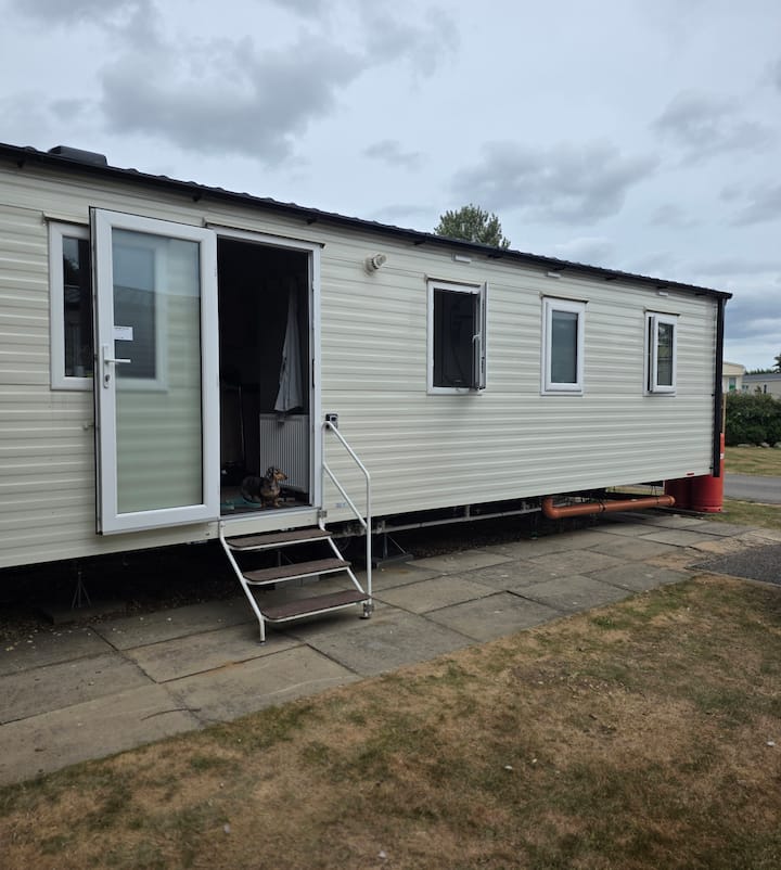 Molly - Skegness