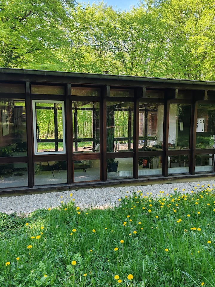Glass House Dans La Forêt - Saint-Fargeau