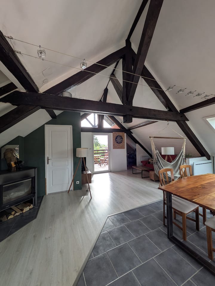 Appartement Spacieux Duplex, Idéal Marchés De Noël - Eguisheim