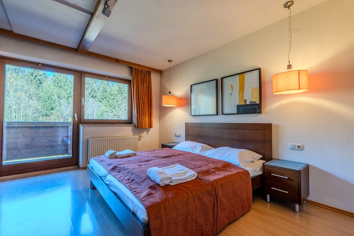 Zell Am See Apartment - Leogang