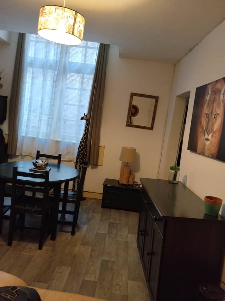 Séjour En Famille Au Coeur Du Centre De Pézenas. - Pézenas