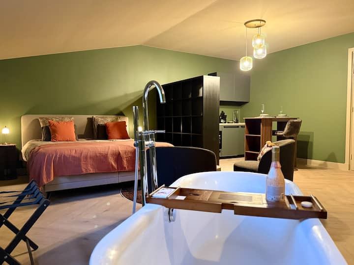 Suite 333 | Tussen Haarlem En Zandvoort - Haarlem