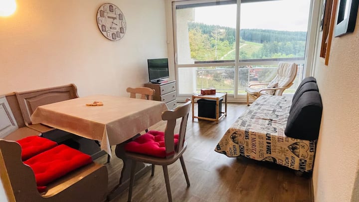 T3 Charmant Au Pieds Des Pistes - Villard-de-Lans