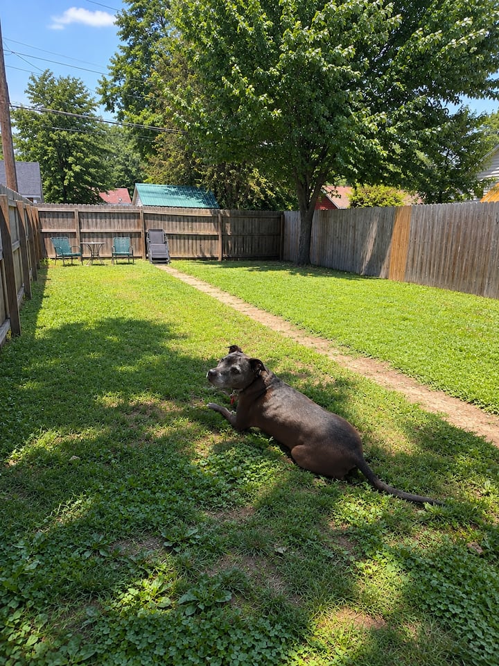 Pup Paradise (Side A) - Privacy Fence! - 벨빌