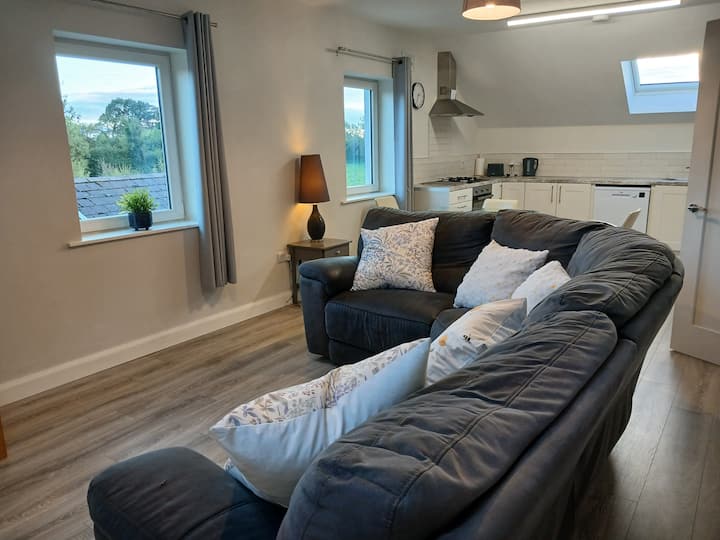 Spacious Comfortable Tranquil Loft - Navan