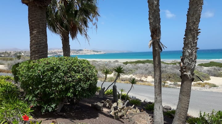Sonne +Meer Das Ganze Jahr - Morro Jable