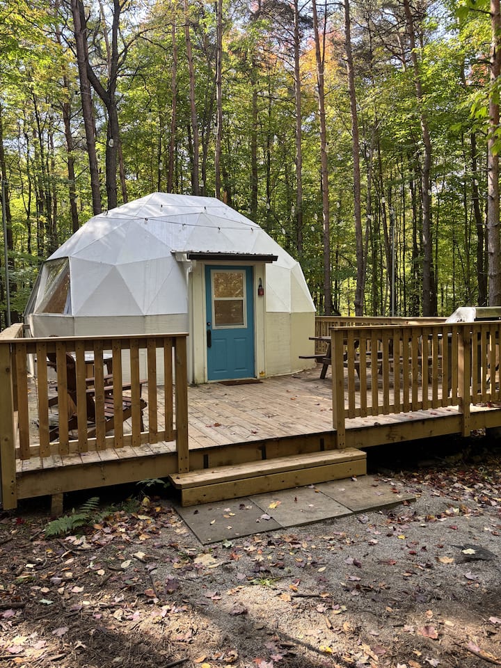 Dome In The Forest - Caledon