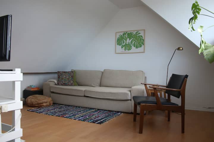Rustig & Net Appartement In Eindhoven - Eindhoven