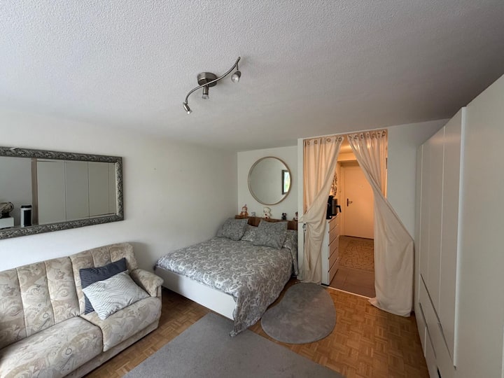 Luminoso Y Cómodo Apartamento. - Neuchâtel
