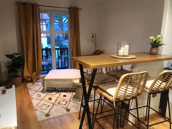 Appartement Front De Mer - Hendaye