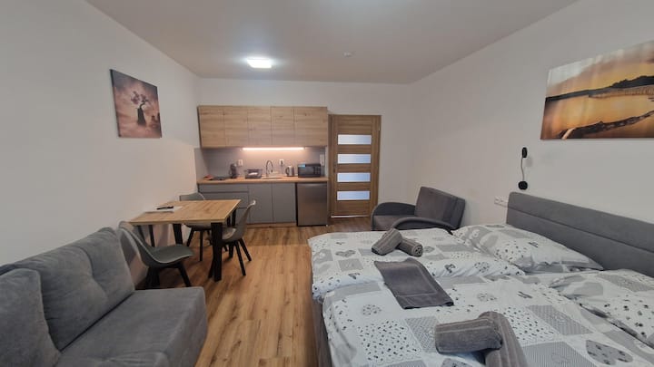 Studio Přízemí 4 - Franzensbad