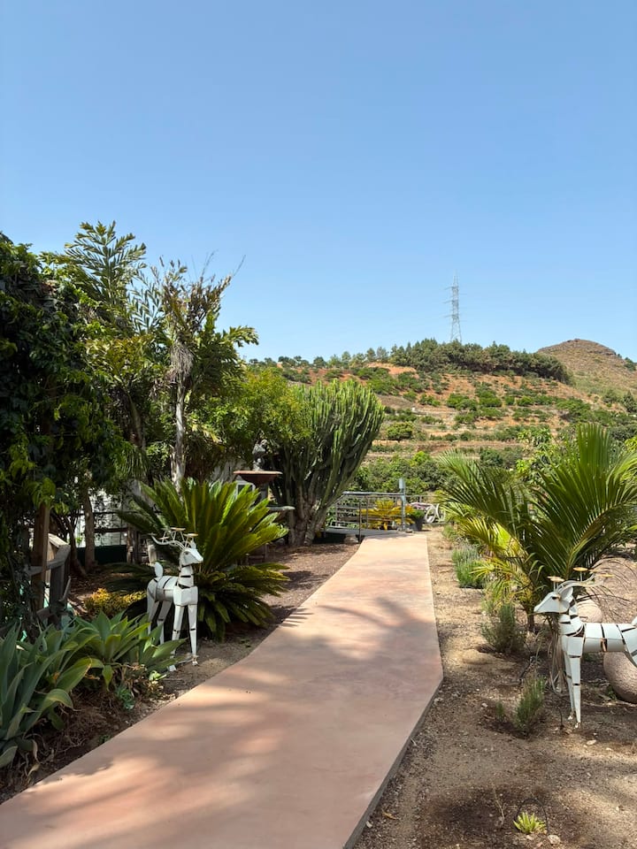 Holidays & Health In Finca Oasis - Villa 9 - Telde