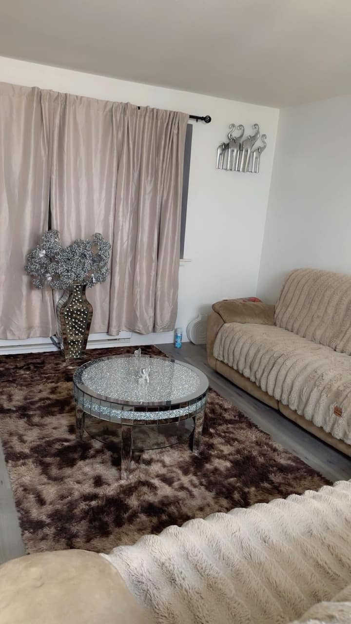 A Comfy, Roomy One Bedroom Apartment. - Hartford, CT