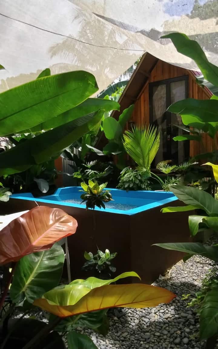 A Frame Cabin - El Nido