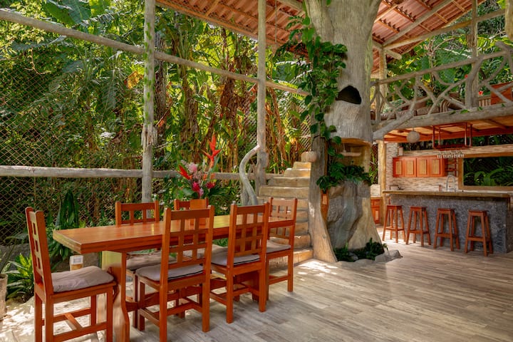Living Tree & Waterfall At Casa Aviari, Matapalo - Costa Rica