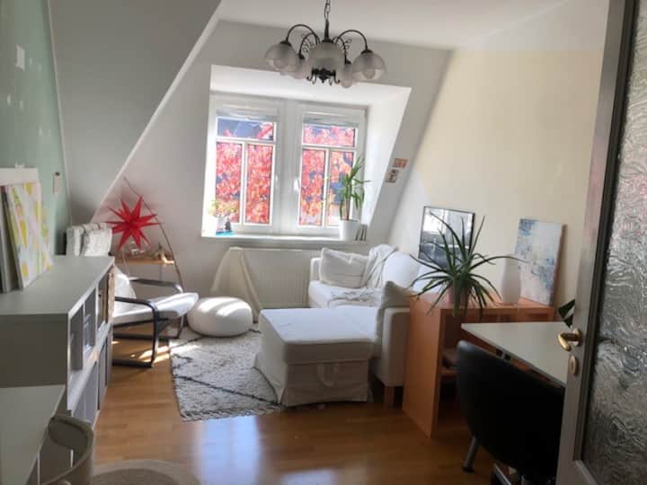 Ruhige Wohnung Direkt Am Park - Dresden