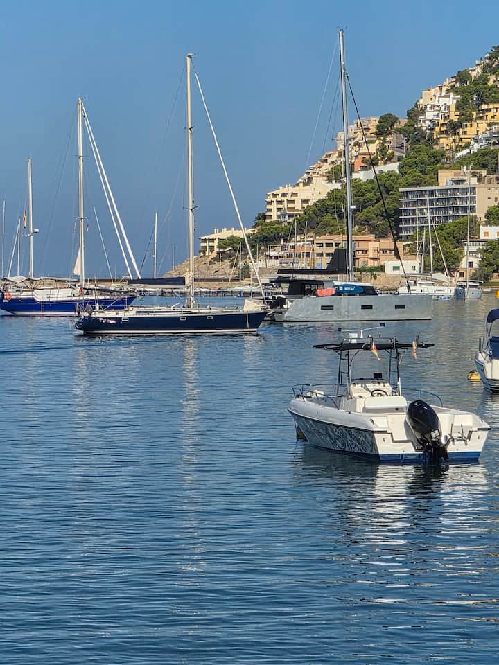 Scientific Sail Boat - Deià
