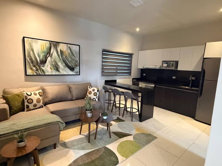 Vencoré Real De Peña / Executive Luxury Apartment - Saltillo