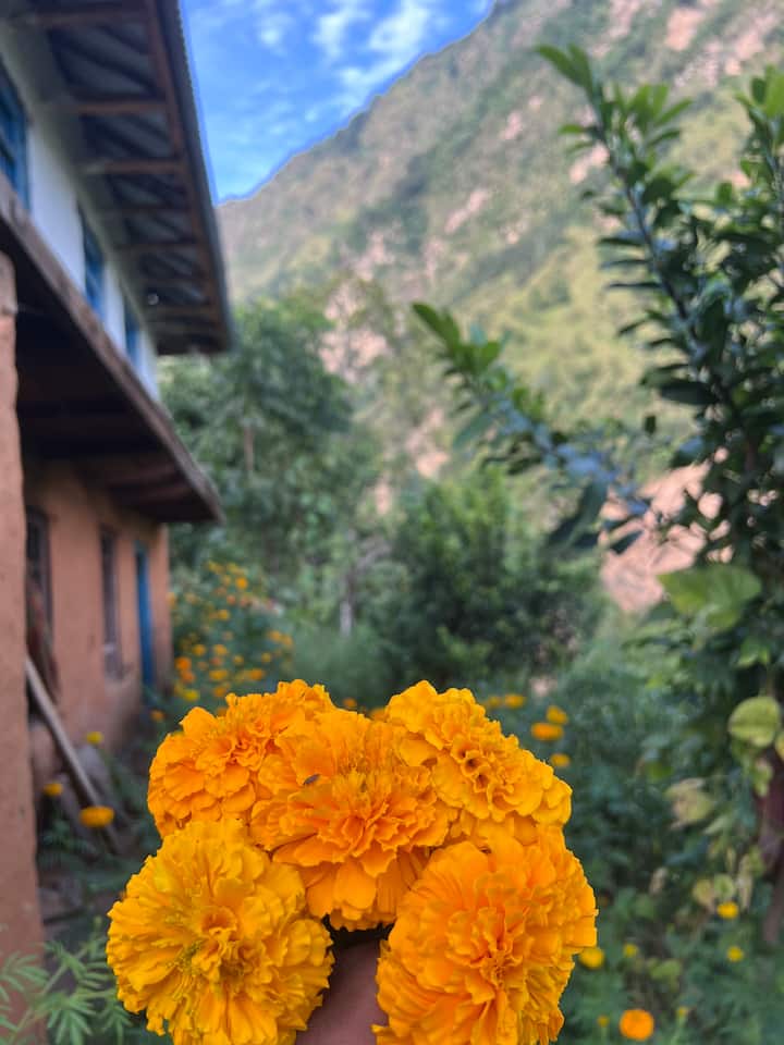 Peaceful Mountain Home With Free Wi-fi - Nepal