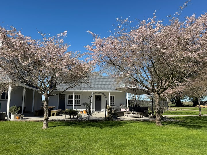 Newfields Country Retreat - Incl Bfst - Rangiora