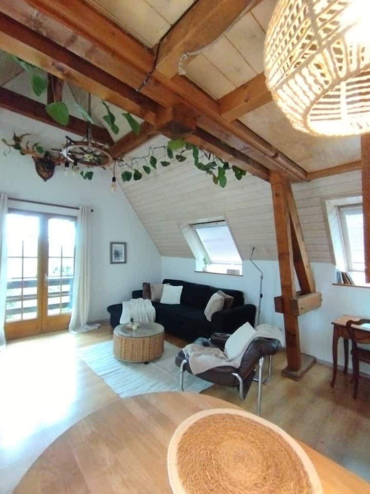 Petit Cocon De Charme - Divonne-les-Bains